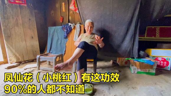 82岁老奶奶用凤仙花包指甲,据说还有这功效,很多人都不知道