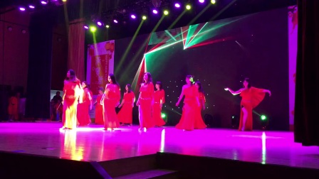 肚皮舞协会迎新春晚会20180113