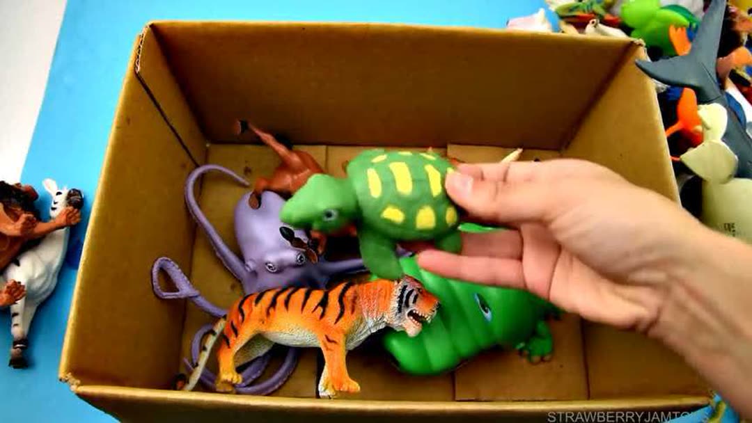 野生动物的模型,好多我都没见过,能不能再看一遍学一下!