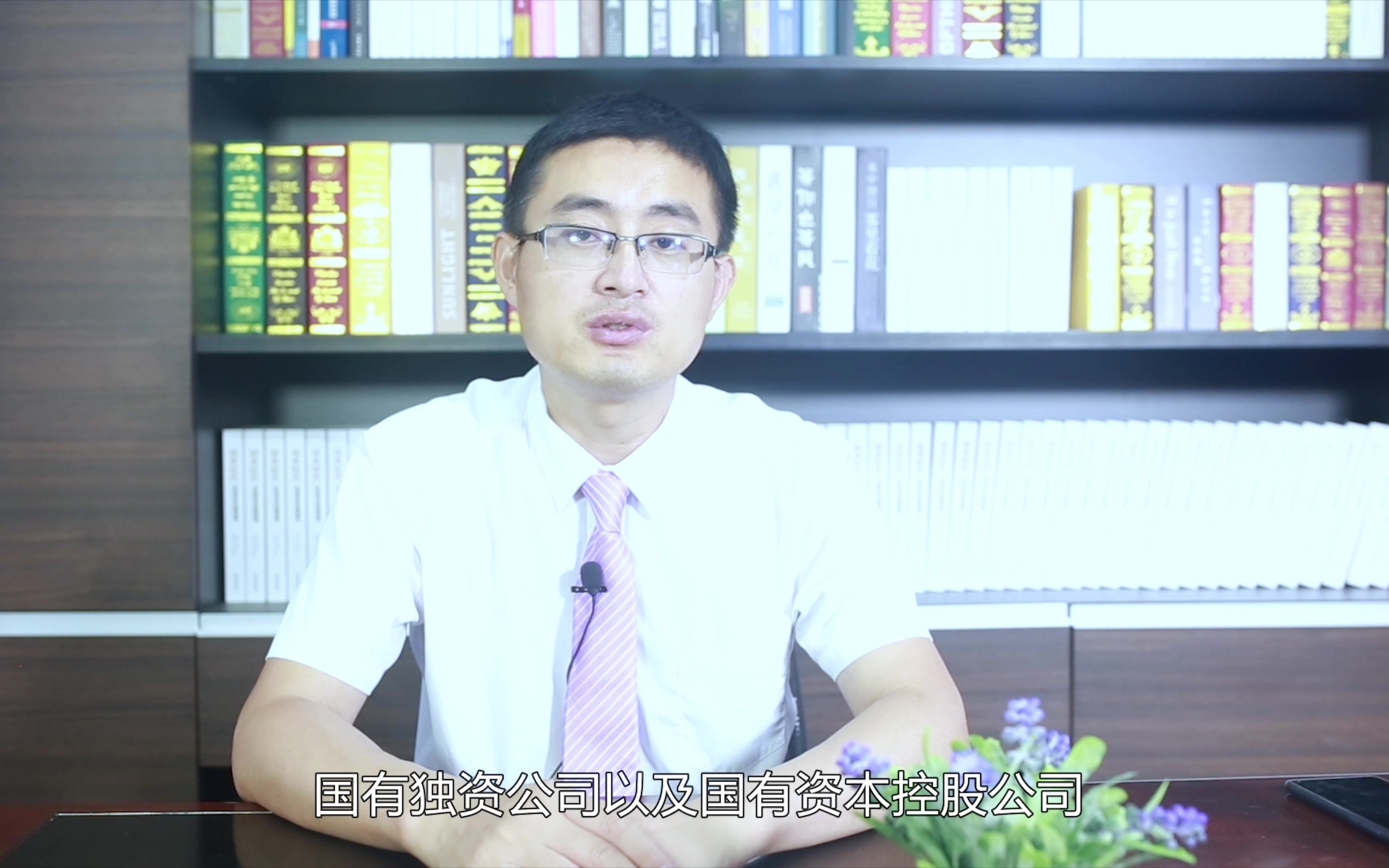 什么是国有企业