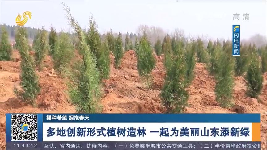 春风催新绿,植树正当时!山东开启特色活动,掀起植树造林热潮