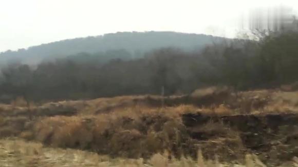 风水:湖北名山高金结奇特风水宝地,风水师实地讲解杨氏祖坟风水
