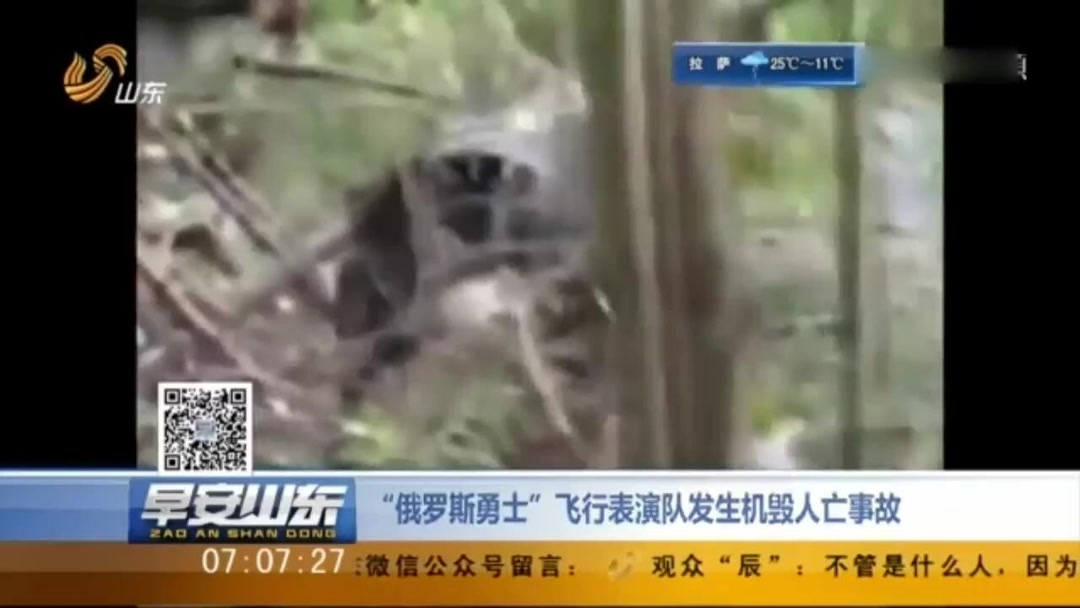 “俄罗斯勇士”飞行表演队发生机毁人亡事故