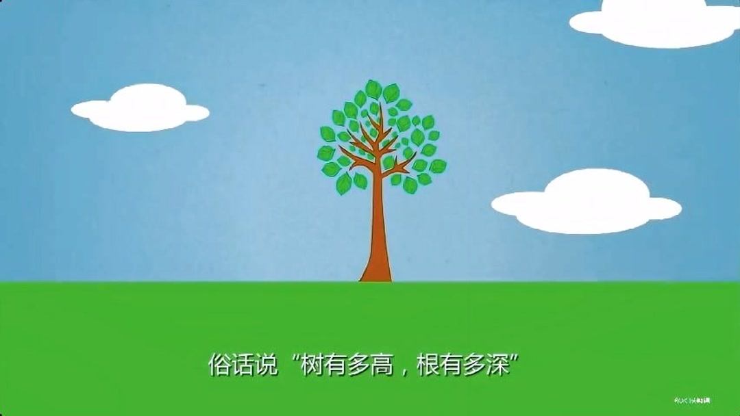 【科普】你了解庞大的植物根系吗?