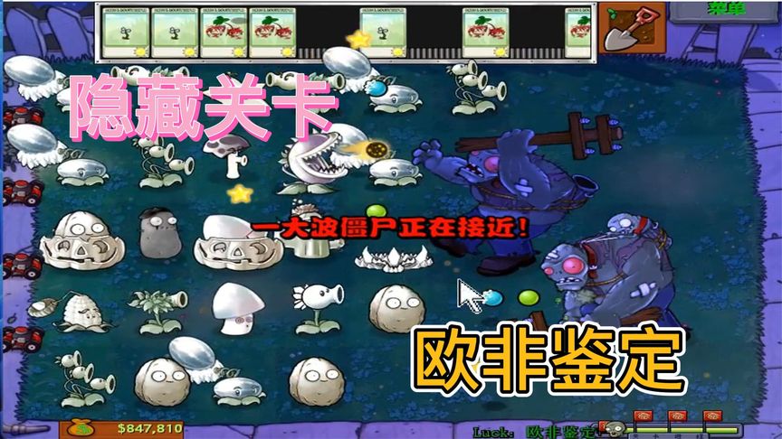 植物大战僵尸:无名版隐藏关卡,欧非鉴定