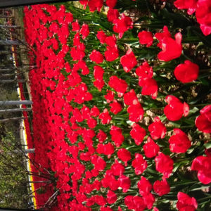 生活就应该认真 