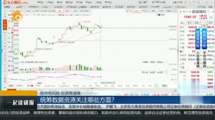 统筹数据资源关注哪些方面?