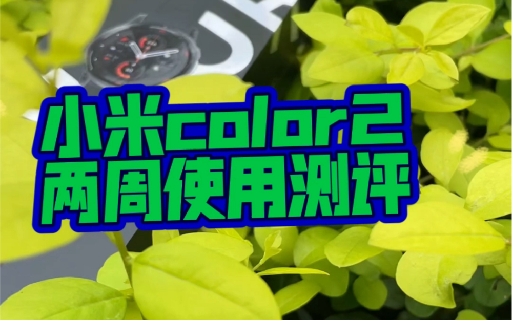小米color2智能手表,十五天测试体验。