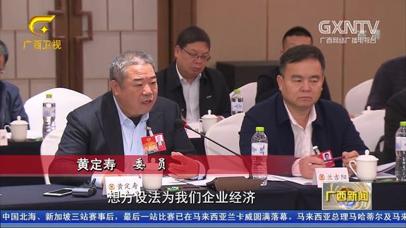 代表、委员分组审议,讨论两院工作报告