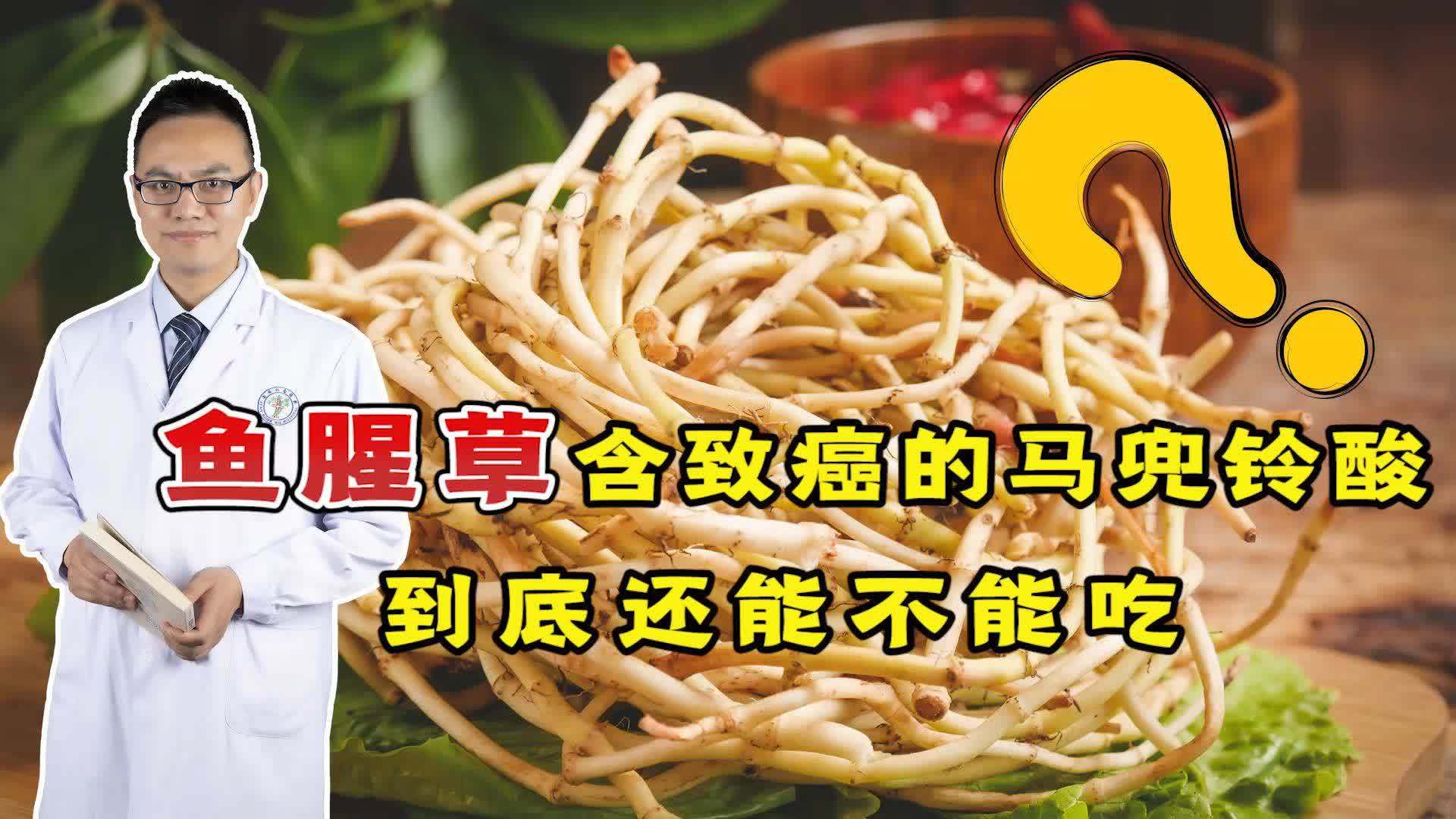 鱼腥草里含有的马兜铃酸,不仅有肾毒还可能致癌,还能不能吃