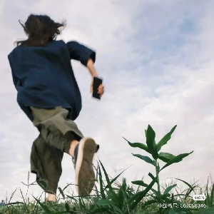 逃离地球的绿毛怪 