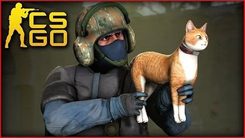Csgo搞笑武器:猫枪