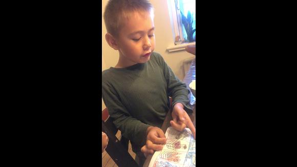 丹麦小混混的家庭作业,不知这家庭作业的目的,我却只看到了yan