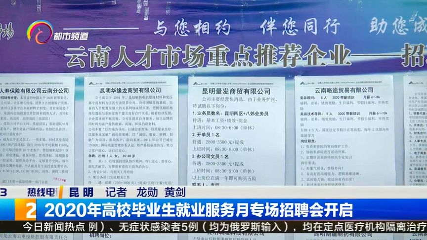 2020年高校毕业生就业服务月专场招聘会开启