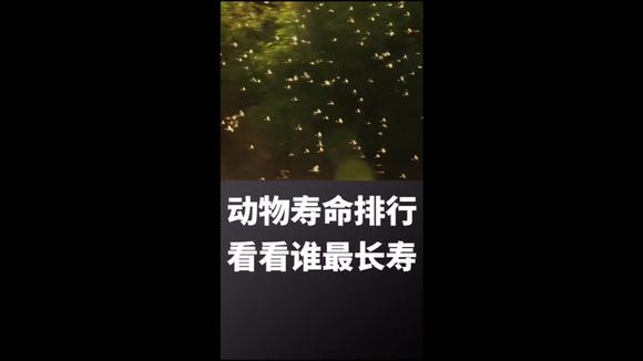 动物寿命排行榜。