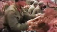 对越自卫反击战全记录