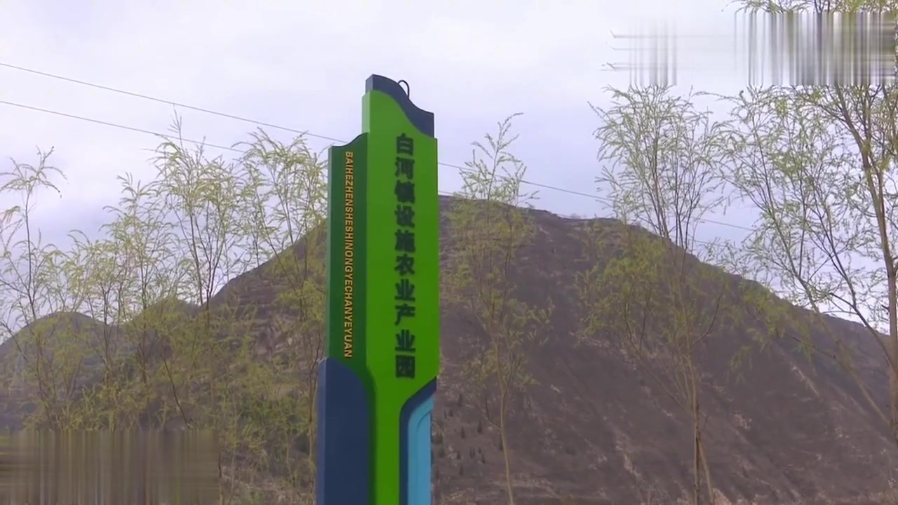 陇南礼县:聚力环境卫生整治助推美丽乡村建设