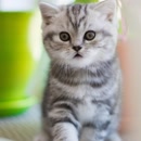 就是我iii禁得起 