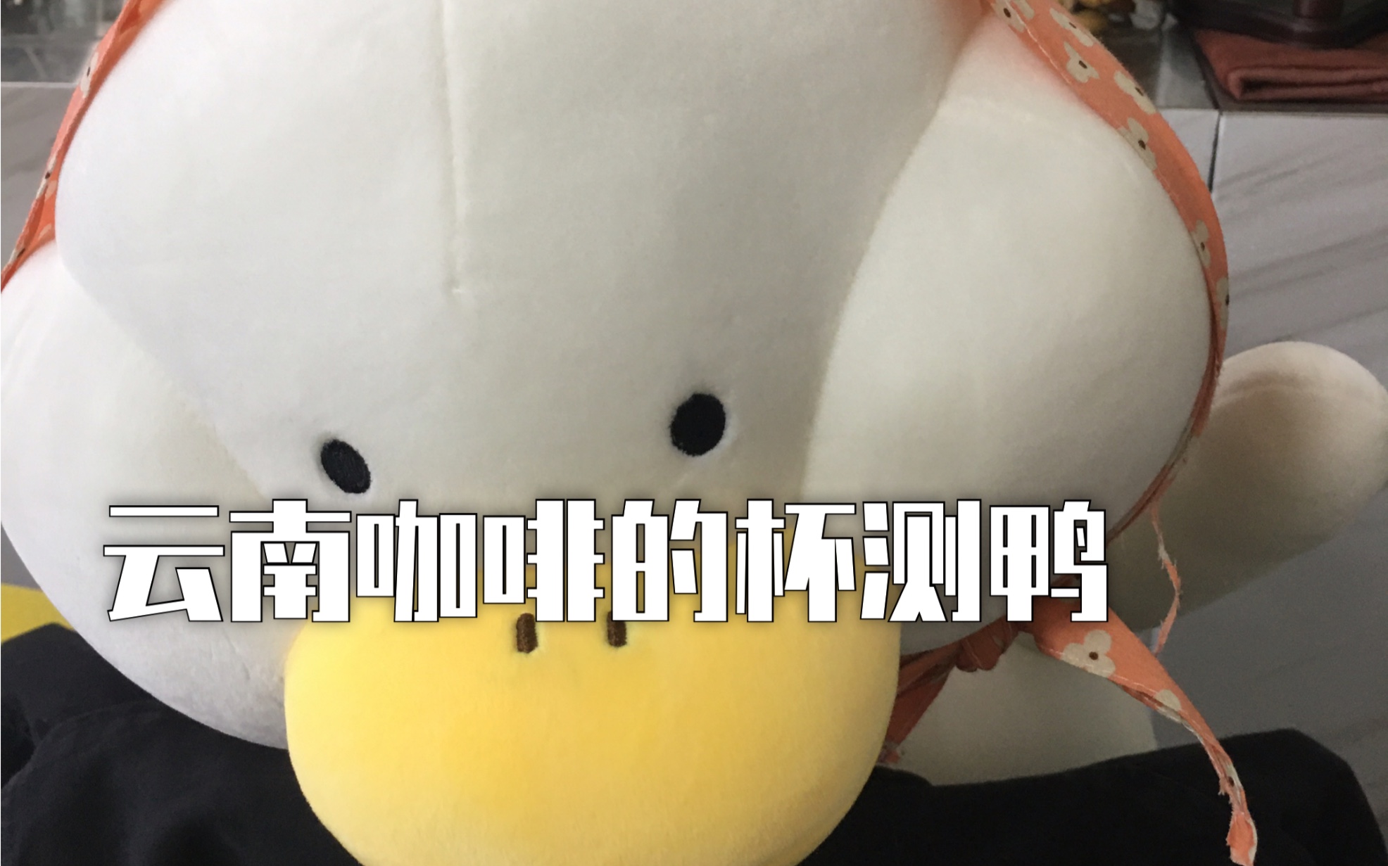 (咖啡杯测)从云南炬点咖啡千里迢迢来到深圳的实验批次,一次对云南...