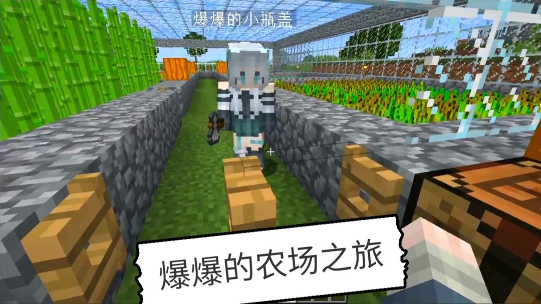 我的世界呆呆生存记 第二季番外篇 打工妹爆爆的农场之旅(上)