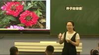 苏教版科学三下《果实和种子》江苏殷老师优质课(配课件教案)
