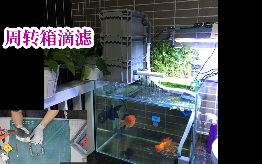 给鱼友龟友的福利 可能是全网最嘚比嘚最详细的周转箱过滤制作视频
