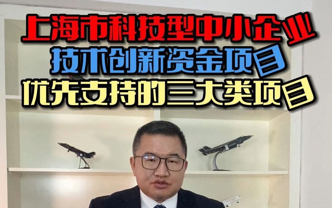 上海市科技型中小企业技术创新资金项目优先支持的三大类项目