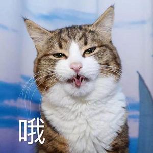 初中学习经验分享 