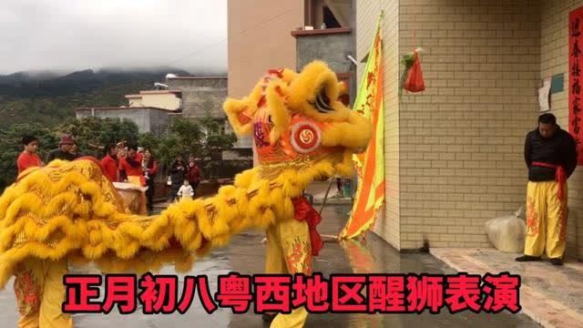 粤西地区醒狮表演,大小醒狮到各家各户送祝福,采青的方式很...