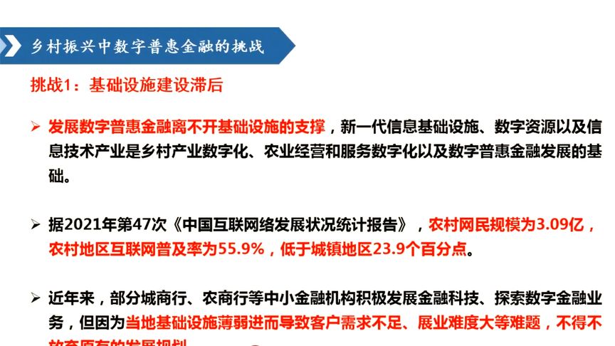 发展农村数字普惠金融,助力乡村振兴战略实施2-张正平教授
