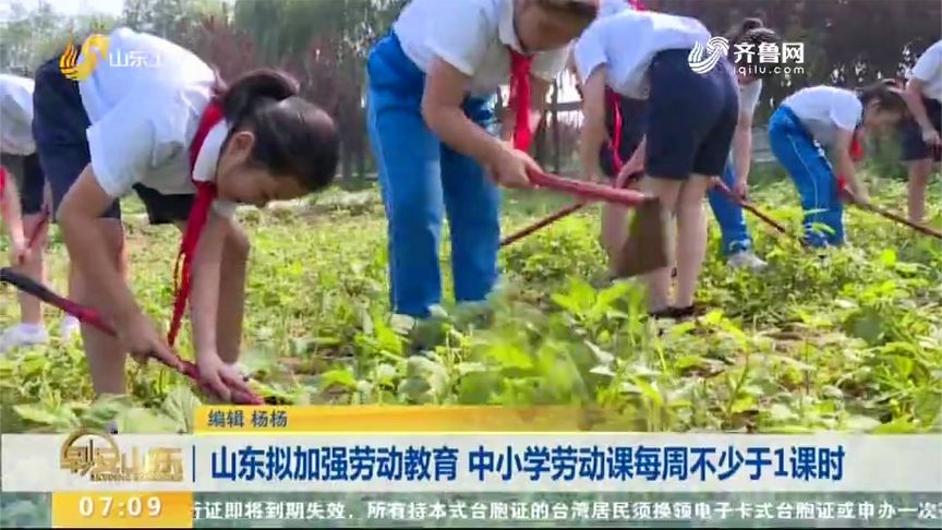 山东拟加强劳动教育,学校中小学劳动课每周不少于1课时