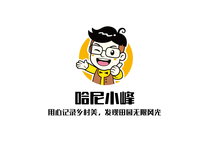 哈尼新农人小峰 