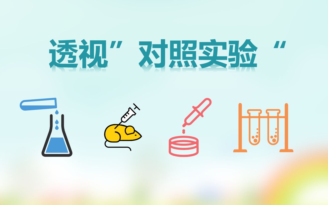 透视《对照实验》!害怕对照实验的宝宝们,你们的福音来喽~~