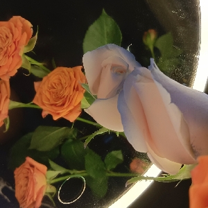 歪歪沐沐啊 