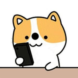裁陛实验室 