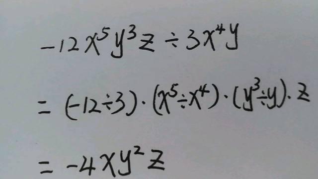 初中数学单项式除以单项式