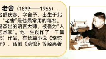 四下母鸡公开课课件教案