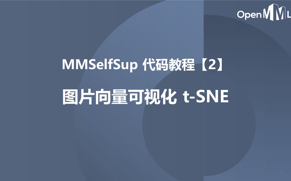 MMSelfSup 代码教程【2】图片向量可视化 t-SNE