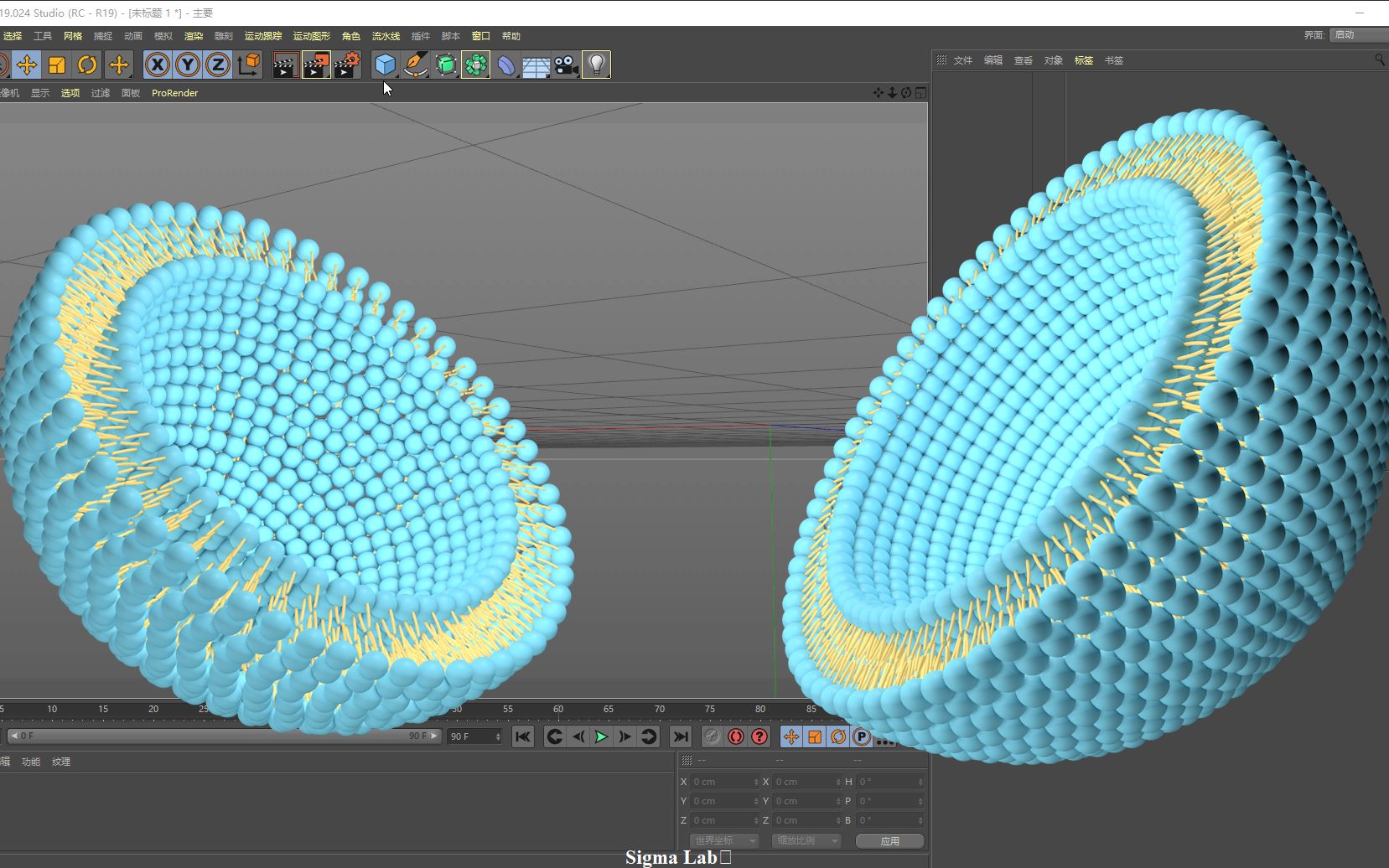 C4D科研绘图 细胞膜磷脂双分子层