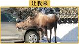 路边只要10块钱的自助洗车机真的能用吗?别等车洗坏了才后悔