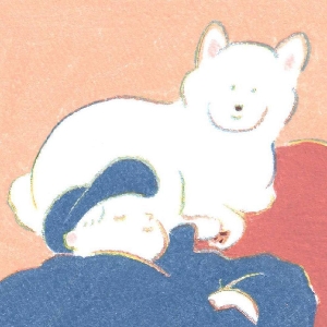 美梦存档 
