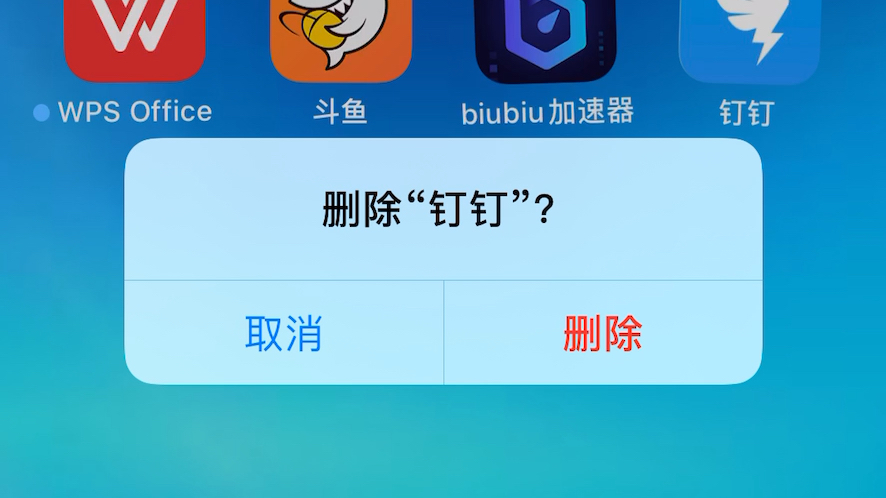 当你删除钉钉时(doge)