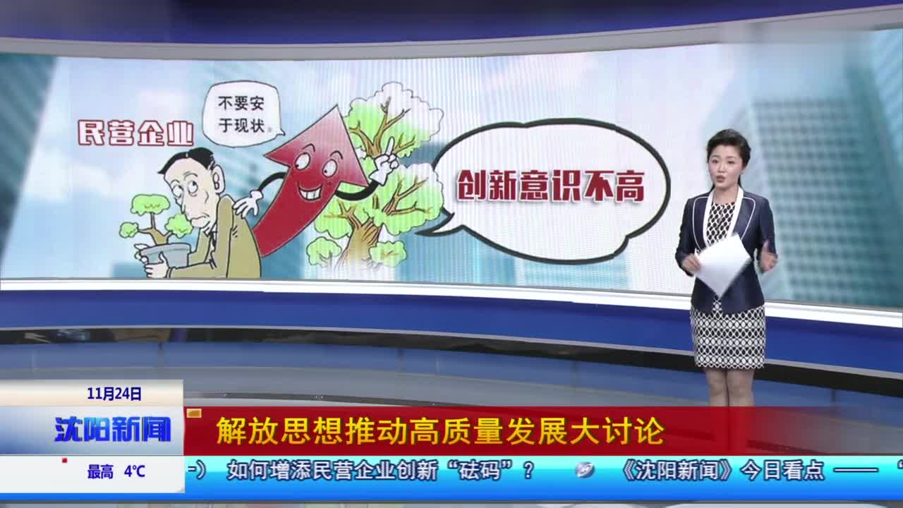 以思想大解放推动沈阳大振兴:如何增添民营企业创新“砝码”?