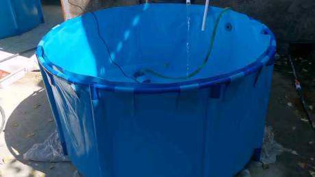 老乡鱼池不够用,又买了一个圆形帆布池,并做了一套周转箱过滤