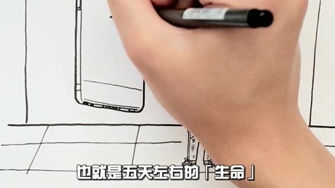 超强台风“尼伯特”有多可怕:登陆后风力12级