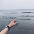 知乐。。。。 