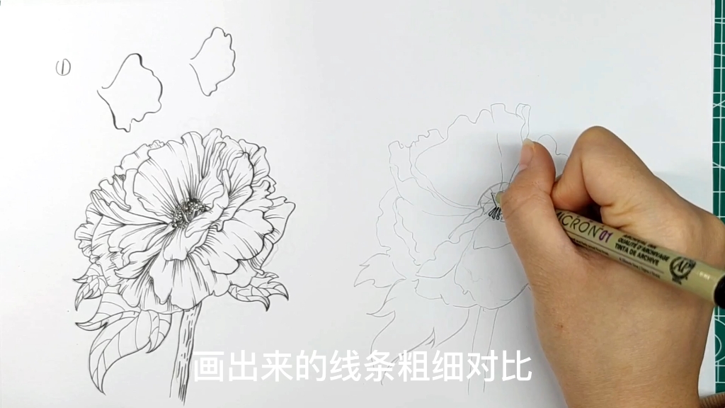 视传考研勾线篇|秀丽笔与针管笔的区别