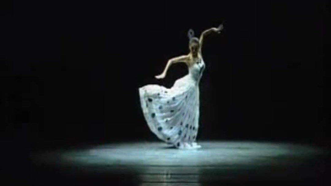 民族舞 【杨丽萍】雀之灵 独舞 民族舞教学视频