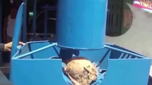 椰子也能够用机器来剥壳,想必超市那些毛椰子就是这样剥的