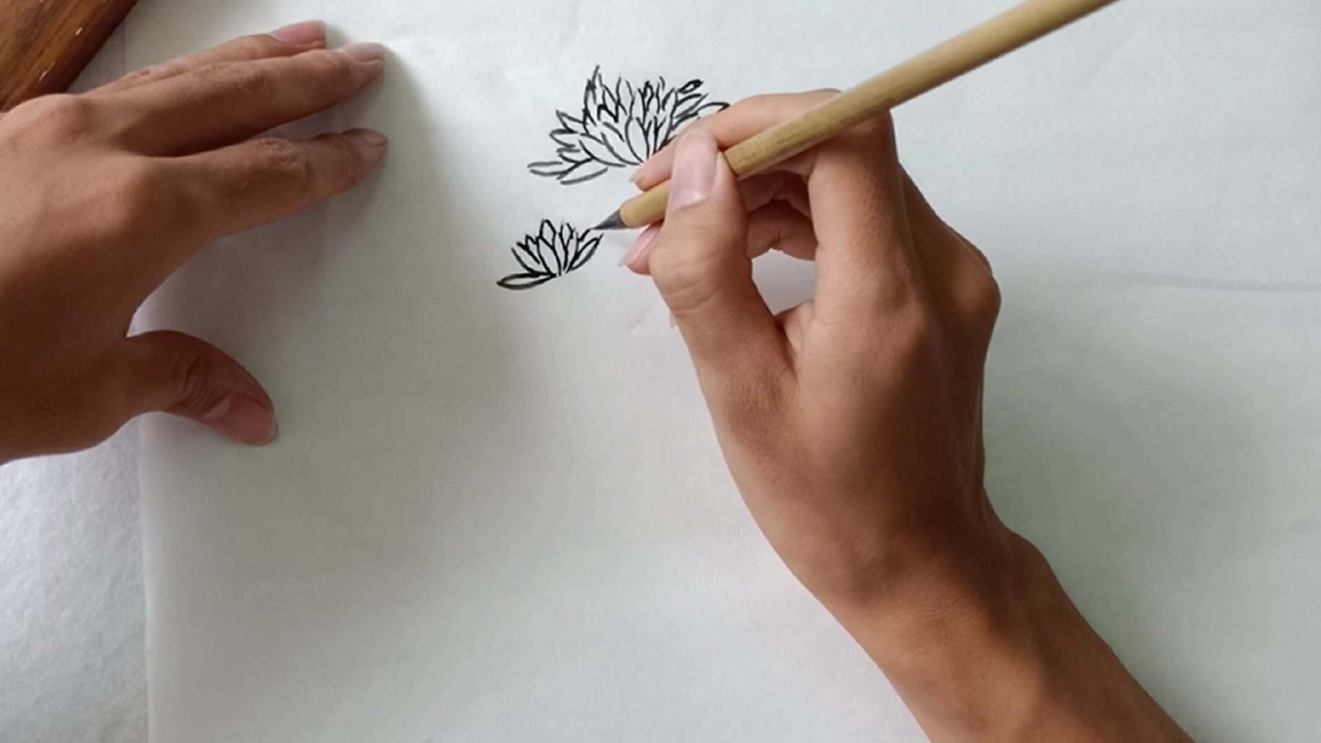 三分钟国画速成课第五集(菊花)